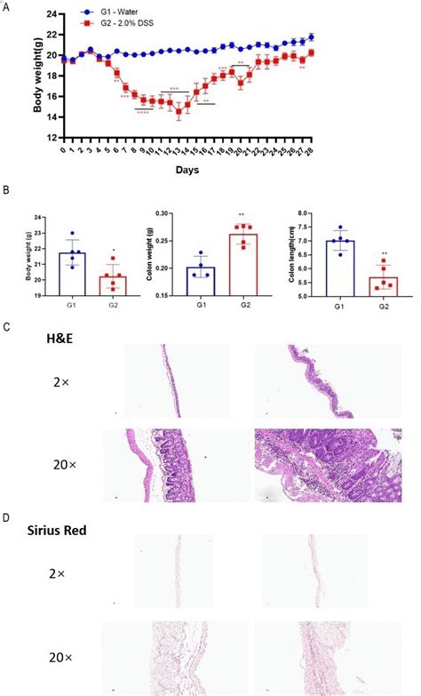 Inflammatory Bowel Disease Ibd Biocytogen