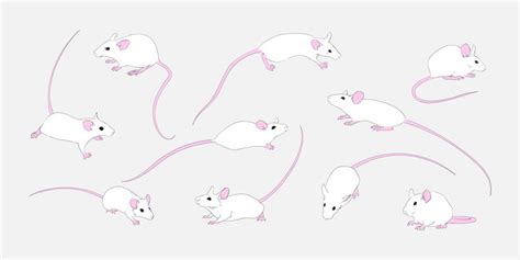 Lab Mouse Cartoon