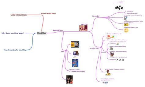 Mind Map Coggle Diagram