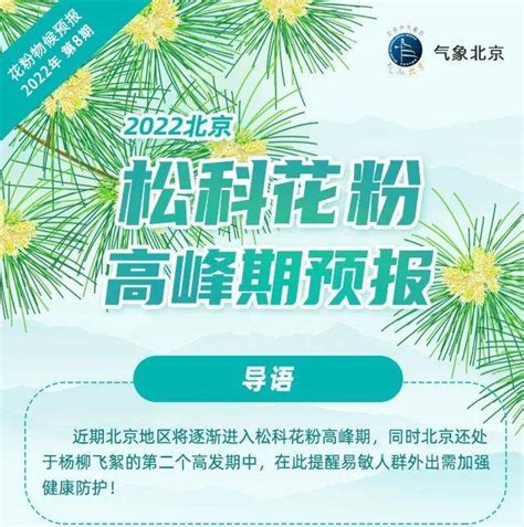 2022年北京市松科花粉高峰期预报 易敏 飞絮 高发期