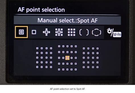 One Shot Vs AI Focus Vs AI Servo Which Autofocus Mode Is Best