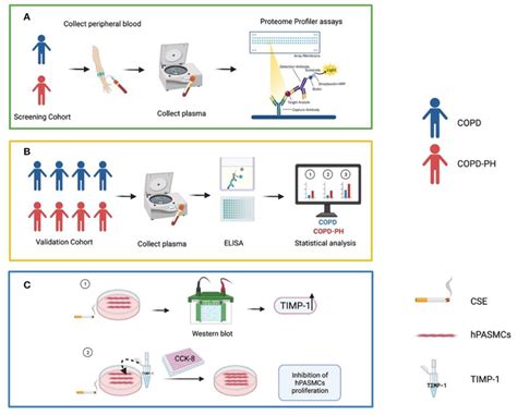 Figure Of The Schematic Workflow Of The Current Study A Initial