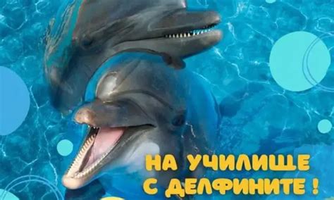 Делфинариум Варна с безплатни представления за 15 септември ᐉ Новини Tribune Bg