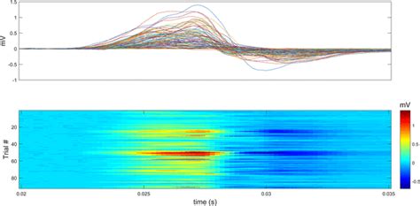 Single Trial Mep Responses Of A Representative Participant Subject 5