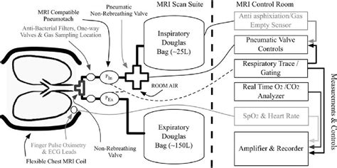 Perflutren Semantic Scholar