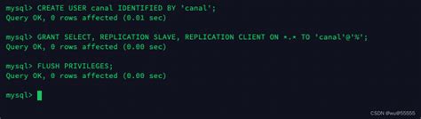 elastic实战：canal自定义客户端，实现mysql多表同步到es 知乎