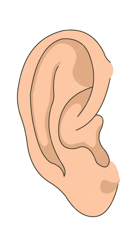 Human Ears Clip Art