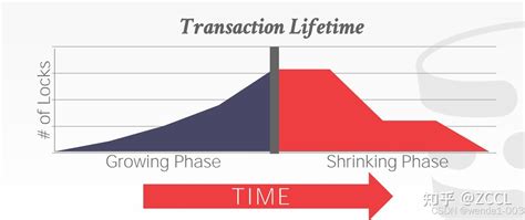 【数据库事务并发】可串行化，事务优先图，2pl数据库优先图怎么画 Csdn博客