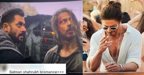 Shah Rukh Khan Calls Salman Khan Goat Replying To A Troll Amid Pathaan