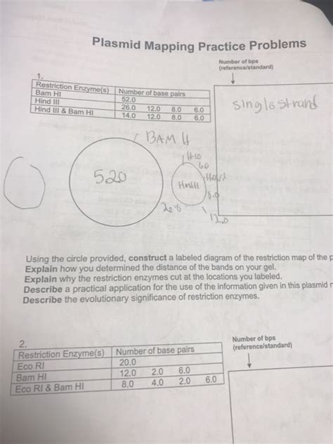 Solved Plasmid Mapping Practice Problems Number Of Bps