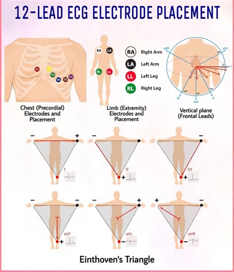 Geometría Y Trigonometría Proyecto 3er Parcial