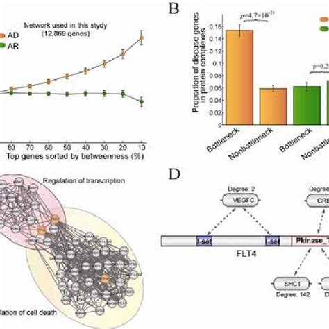Schematic Illustration Of Ad Ar Genes A Schematic Illustration Of