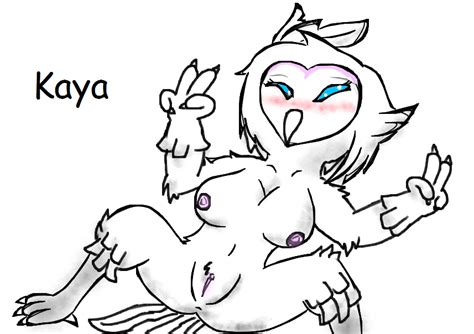 Kaya