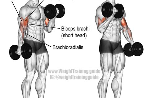 Pin Em Saúde E Boa Forma