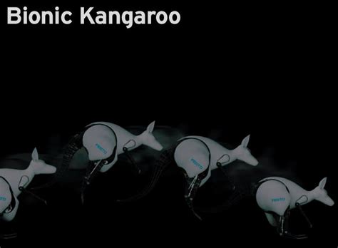 Bionic Kangaroo Roboticstomorrow