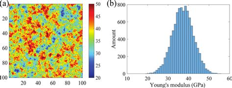 A Distribution And B Histograms Of Youngs Modulus In Case 31