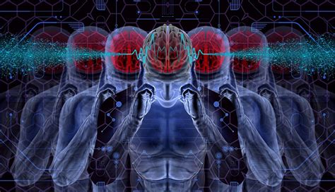 Decoder Uses Fmri Brain Scans To Reconstruct Human Thoughts