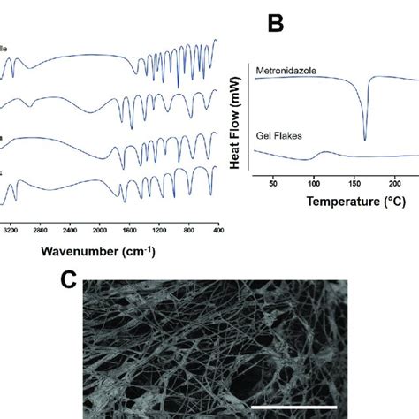 Ftir Spectrum Of Metronidazole Chitosan Gellan Gum And Gel Flakes Download Scientific