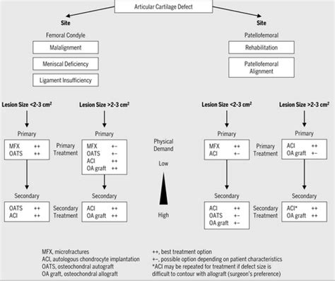 The Basic Science And Surgical Treatment Options For Articular Cartilage Injuries Of The Knee