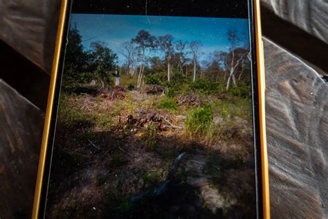 Can A Carbon Offset Project Really Secure Indigenous Rights In