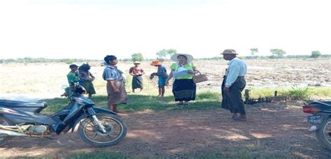 က်ကြီးမြို့နယ် မတ်ပဲစိုက်ကွင်းများသို့ ကွင်းဆင်း Consumer