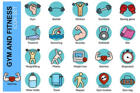 체육관 아이콘 세트입니다 컬러 윤곽선 아이콘 스타일입니다 아이콘 바벨 운동 복싱 등이 포함되어 있습니다 피트니스 요소 벡터 일러스트 레이 션 가방에 대한 스톡 벡터 아트 및