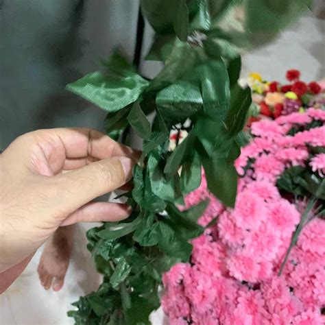 Leaves Green Leaf Bail 6 7 Feet Long Basics Pk