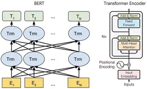 Architecture Of The Bert Model Download Scientific Diagram