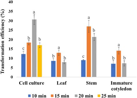Optimization Of Soybean Protoplast Transformation Efficiency By Tissue