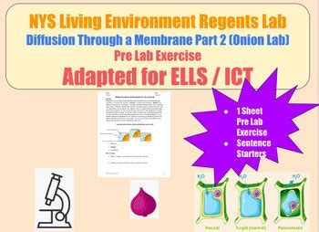LE Regents Lab Diffusion Through The Membrane Part Pre Lab Work