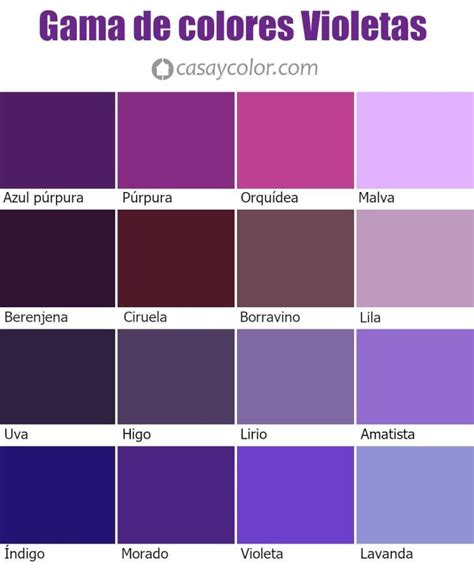 Color Violeta