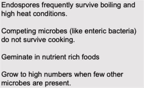 Clostridium Bacillus Staphylococcus Listeria 126 Flashcards Quizlet