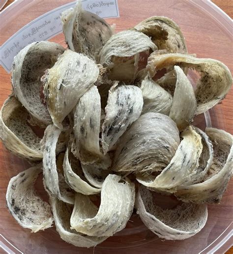 Grade A Raw Bird Nest