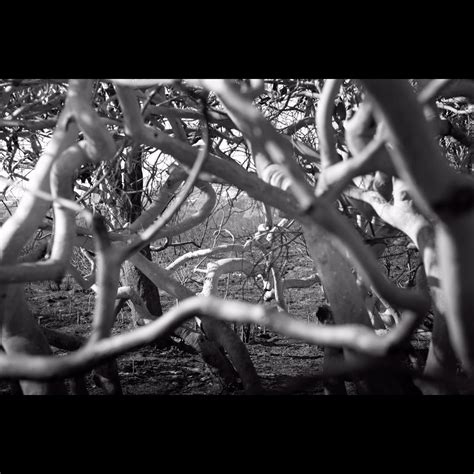 Tom Morrall Productions Home Facebook