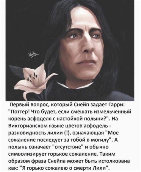 Интересный факт類 Школа Хогвартс ϟ Гарри Поттер ВКонтакте