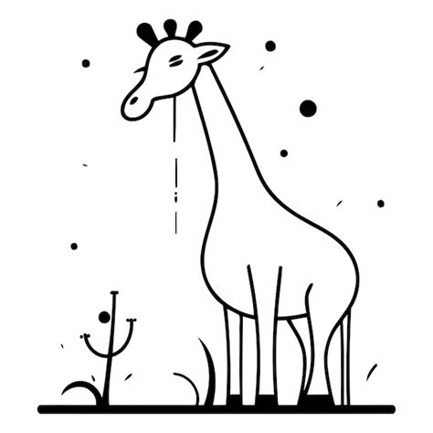 Premium Vector Giraffe On White Background Vector Illustration Flat Style
