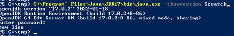 java why is console readpassword inserting a line stack overflow