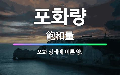 🌟포화량 포화 상태에 이른 양 표준국어대사전