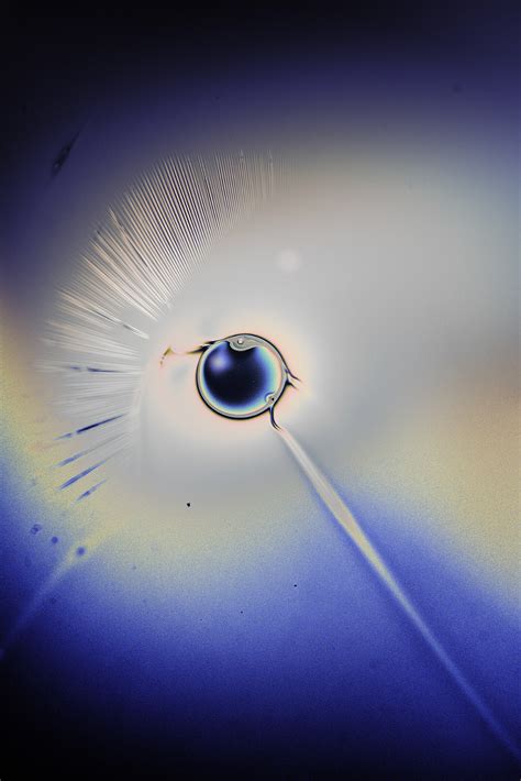 Microarchitecture Behance