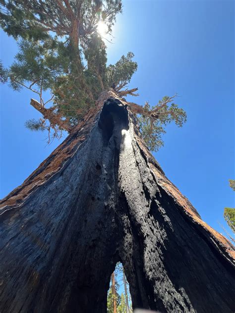 Sequoia National Park The Ultimate 3 Day Adventure Guide Full Time