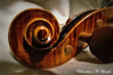 Violin Scroll Violin Scroll Violin Fancy