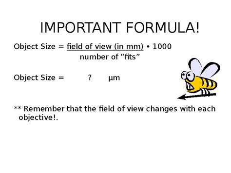Microscope Measurement презентация доклад проект скачать