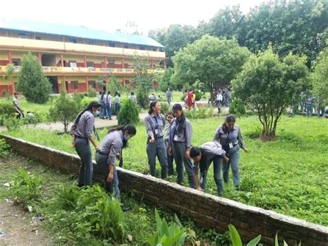 विप्लवका क्रान्तिकारी बिद्यार्थीहरुद्वारा दाङको पद्मोदय नमुना माविमा वृक्षारोपण फोटोफिचर