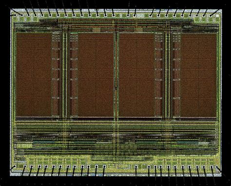 Lab 9022 Microchip Analytics California