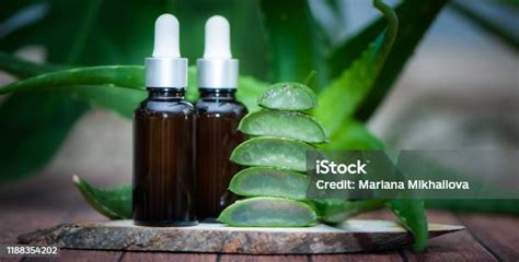 알로에 오일 육즙이 많은 주홍 색은 자연 나무 배경에 조각으로 잘라 유기농 바이오 화장품 0명에 대한 스톡 사진 및 기타 이미지 Istock