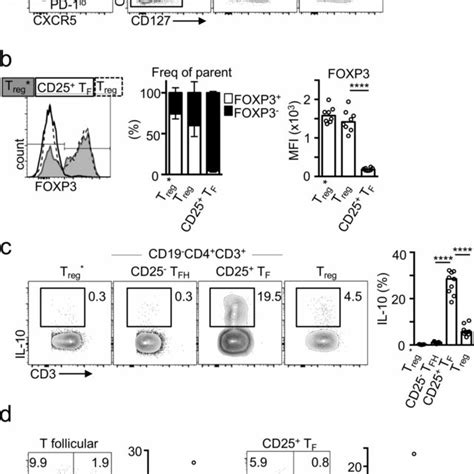 Identification Of Il 10producing Cd25⁺ Foxp3⁻ Human Tf Cells In Human
