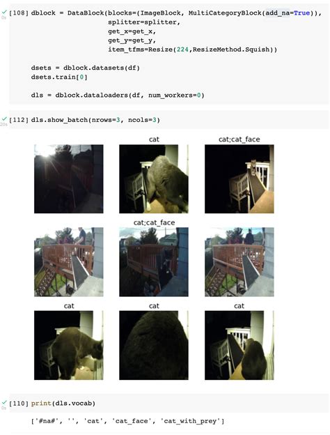 Why Is Fastai Creating Four Classes Multilabel When There Are Only