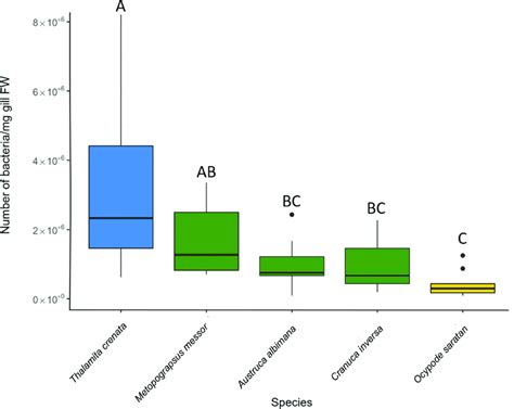 Bacterial Quantification Using QPCR Analysis Bacterial Abundance On Download Scientific