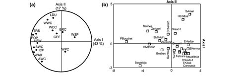 A Projection Of The Variables On The Factor Plane I Ii And B