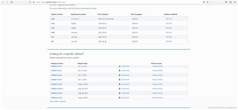 Linux系统下vscode Portable版本的python环境搭建003：venvvscode Linux版 Csdn博客